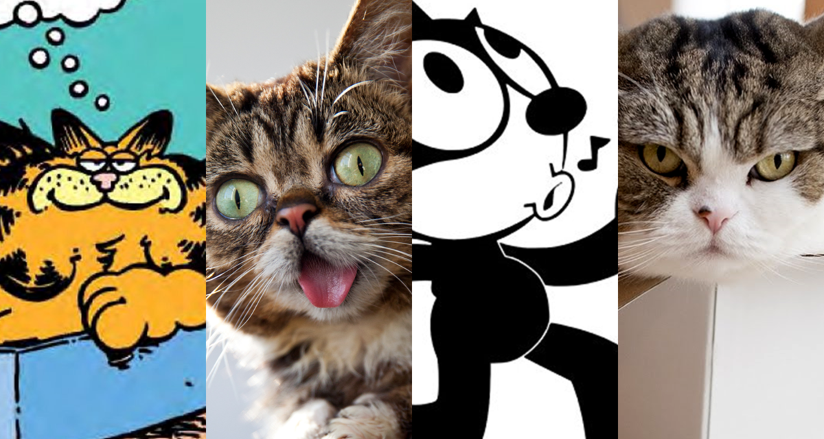 Episode 171: Cats - MT. RUSHMORE PODCAST Episode 171: Cats - MT. RUSHMORE PODCAST